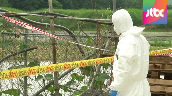 전남 함평 오리농장 AI 확진…오리 4만여 마리 살처분 | JTBC 뉴스