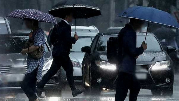 밤부터 빗방울 굵어져…시간당 50mm 폭우 내리는 곳도 | JTBC 뉴스