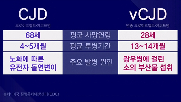 사후 부검해야 확진판정…CJD와 vCJD 어떻게 다른가