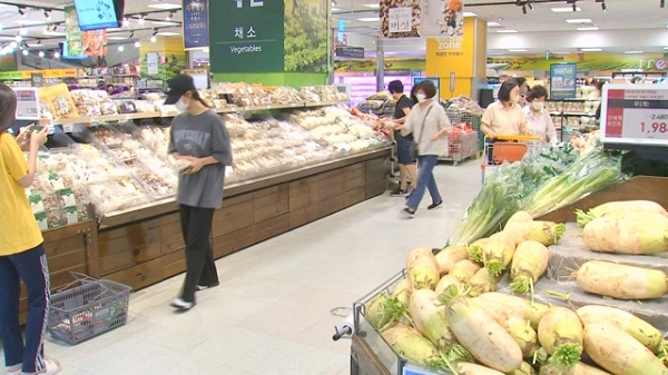 OECD, 올해 한국 물가 상승률 5.2% 전망…24년 만에 최고 | JTBC 뉴스