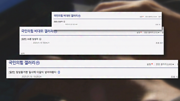 "35분에 담 넘자"…'서부지법 사전답사' 글 작성자 추적 | JTBC 뉴스